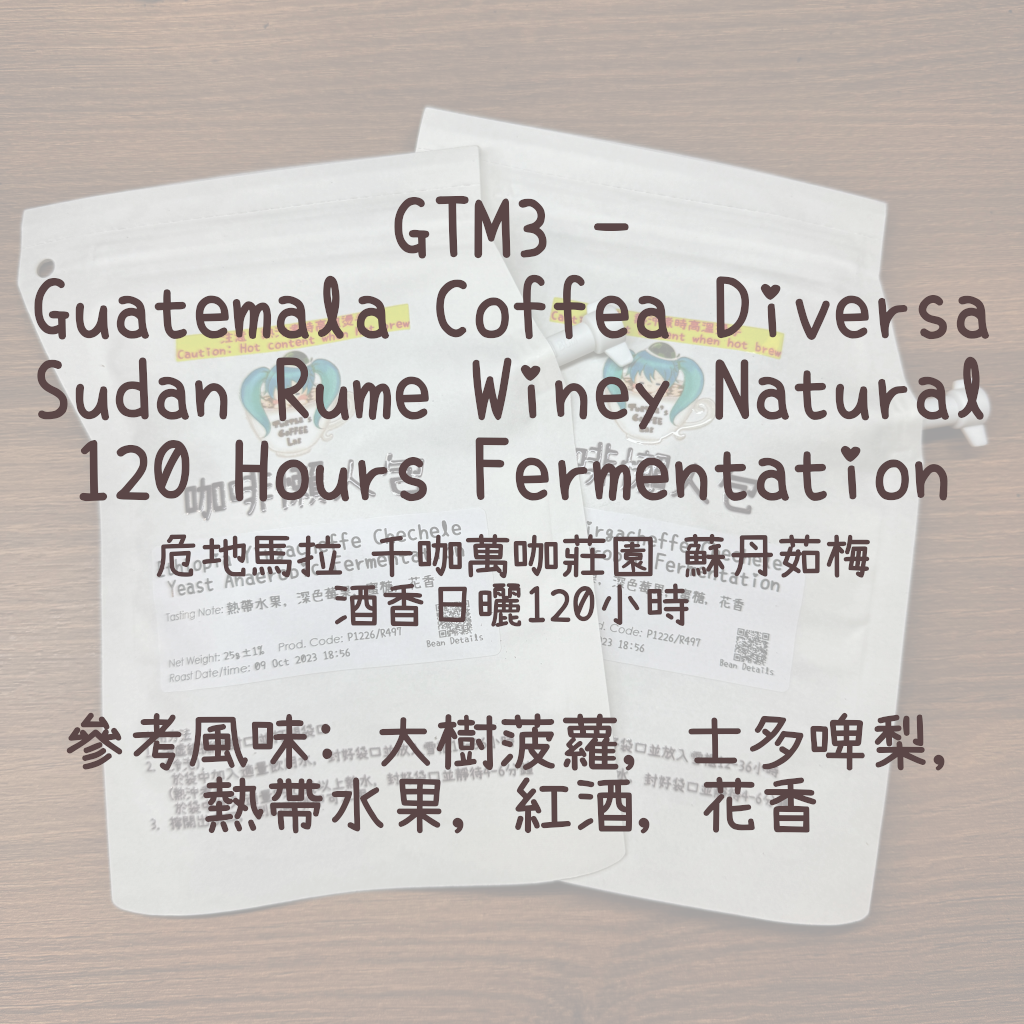 (GTM3) Guatemala Coffea Diversa Sudan Rume Winey Natural 120 Hours ...